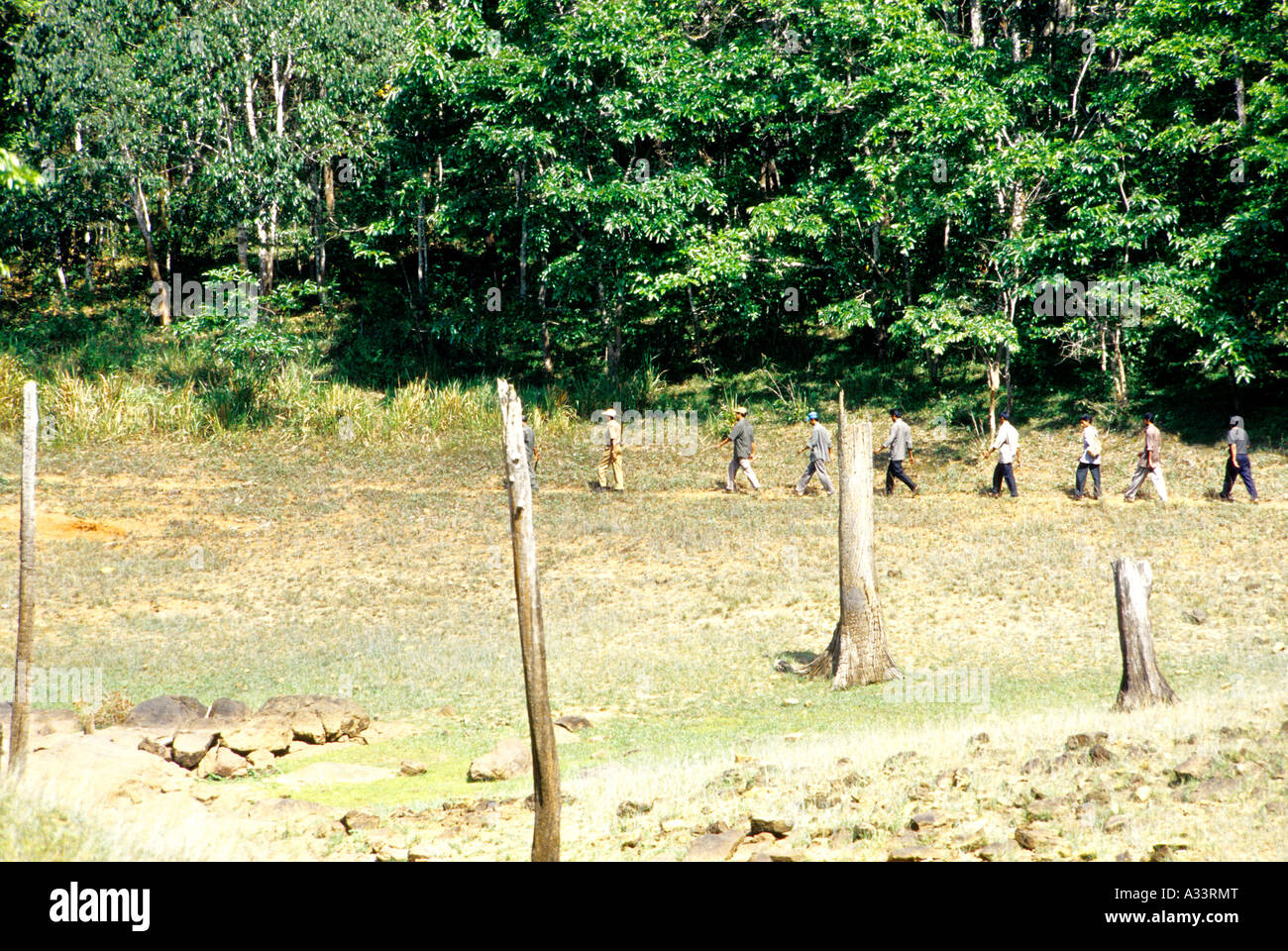 PERIYAR TIGER RESERVE THEKKADY KERALA Stock Photo - Alamy