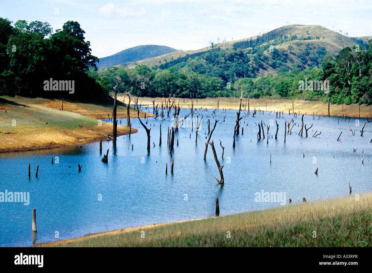 PERIYAR TIGER RESERVE THEKKADY KERALA Stock Photo - Alamy