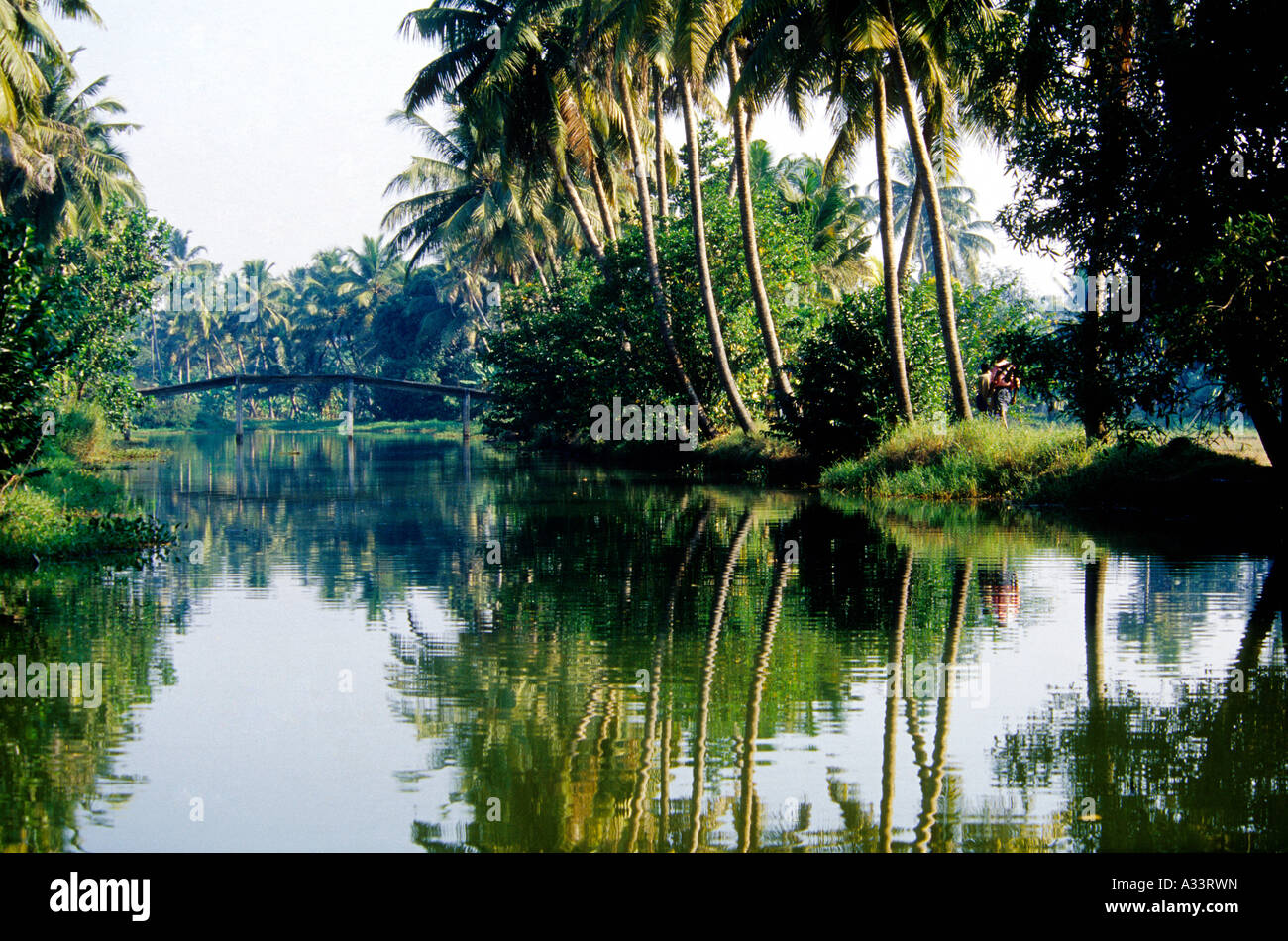 THE BACKWATERS OF KAVALAM IN ALAPPUZHA KERALA Stock Photo - Alamy