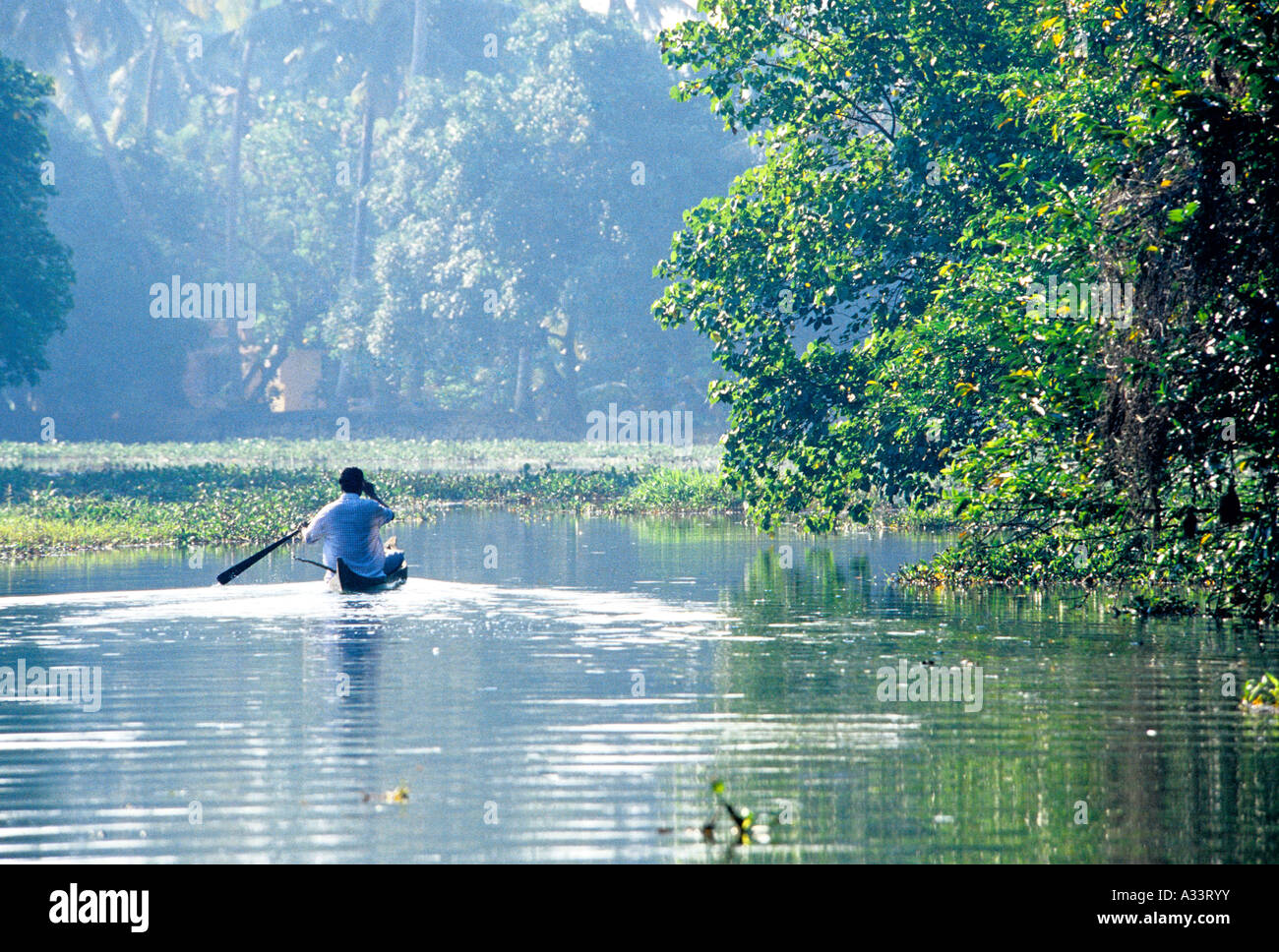 THE BACKWATERS OF ALAPPUZHA KERALA Stock Photo - Alamy