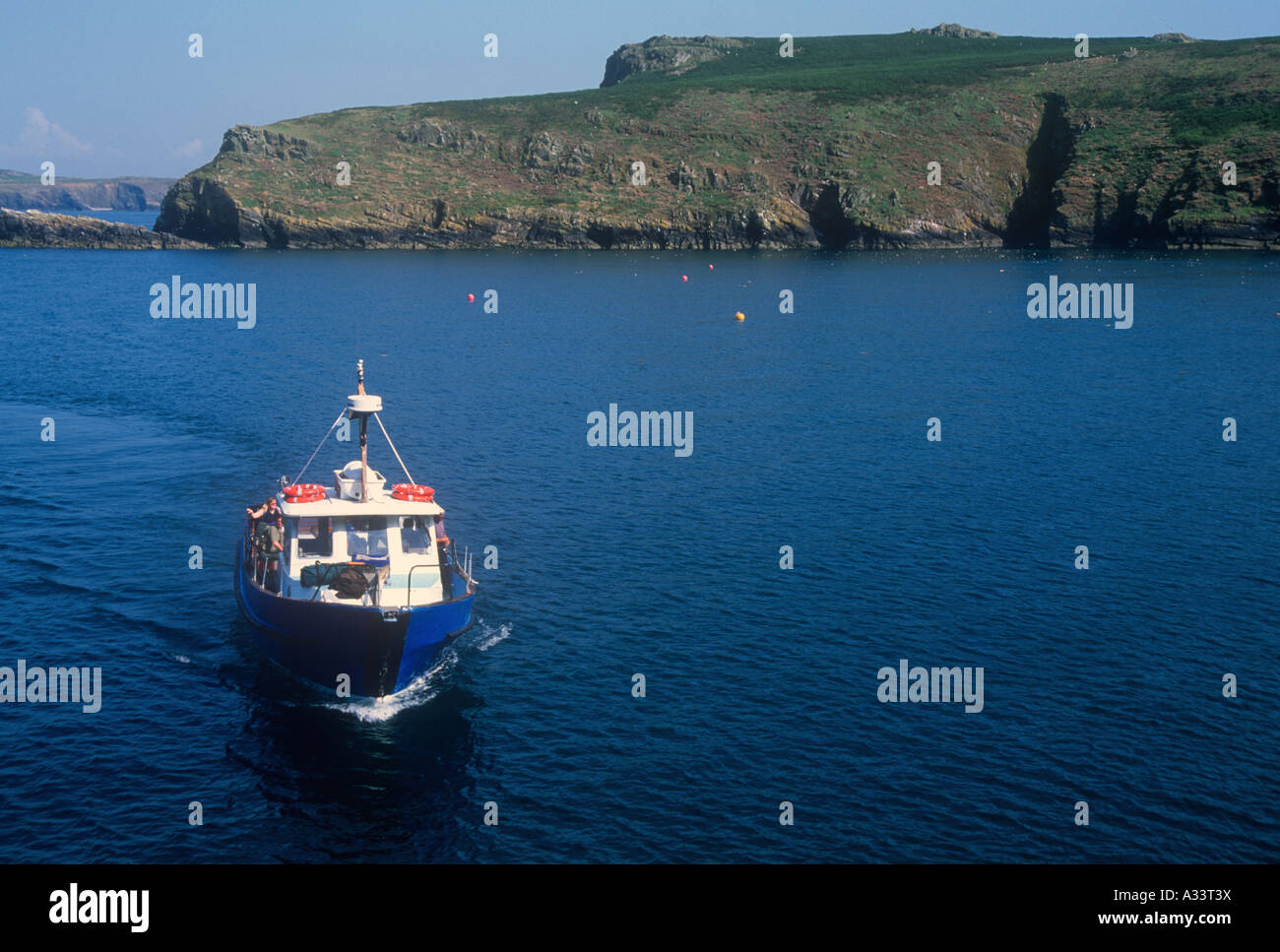 The Dale Princess taking Visitors to Skomer Island Pembrokeshire West ...