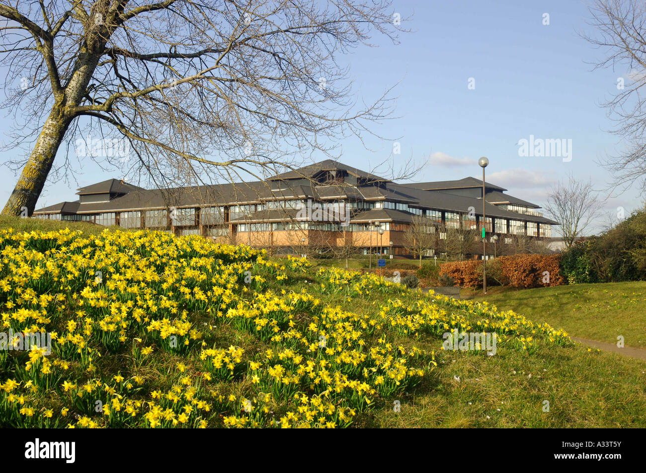 Cardiff County Hall in Spring Cardiff Bay South Wales Stock Photo - Alamy