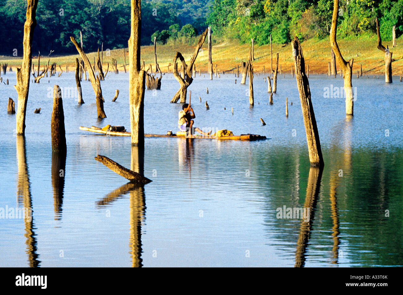 PERIYAR TIGER RESERVE THEKKADY KERALA Stock Photo - Alamy