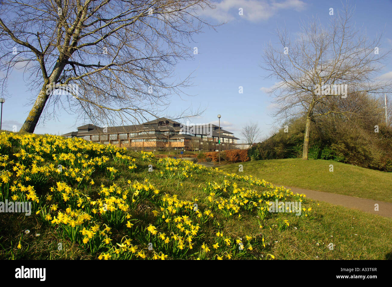 Cardiff County Hall in Spring Cardiff Bay South Wales Stock Photo - Alamy