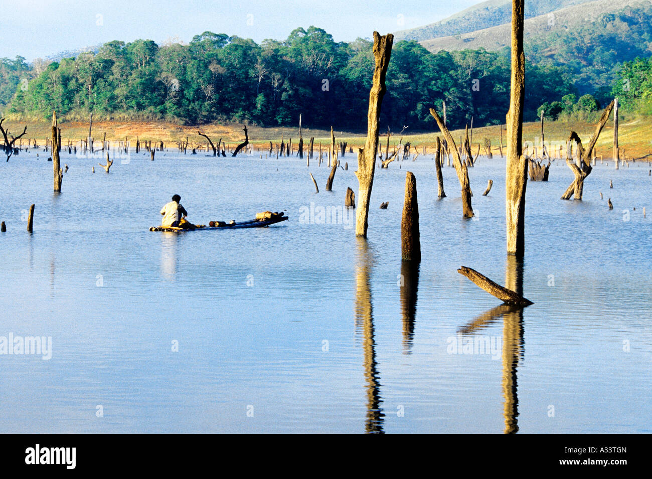 PERIYAR TIGER RESERVE THEKKADY KERALA Stock Photo - Alamy
