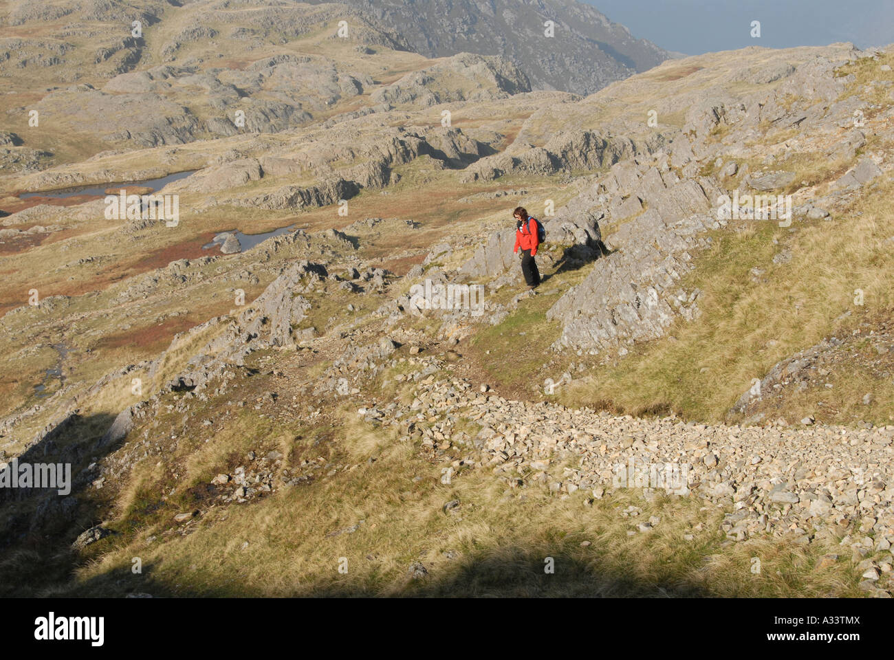 Walkers Y Glyderau The Glyders Snowdonia North West Wales Stock Photo ...