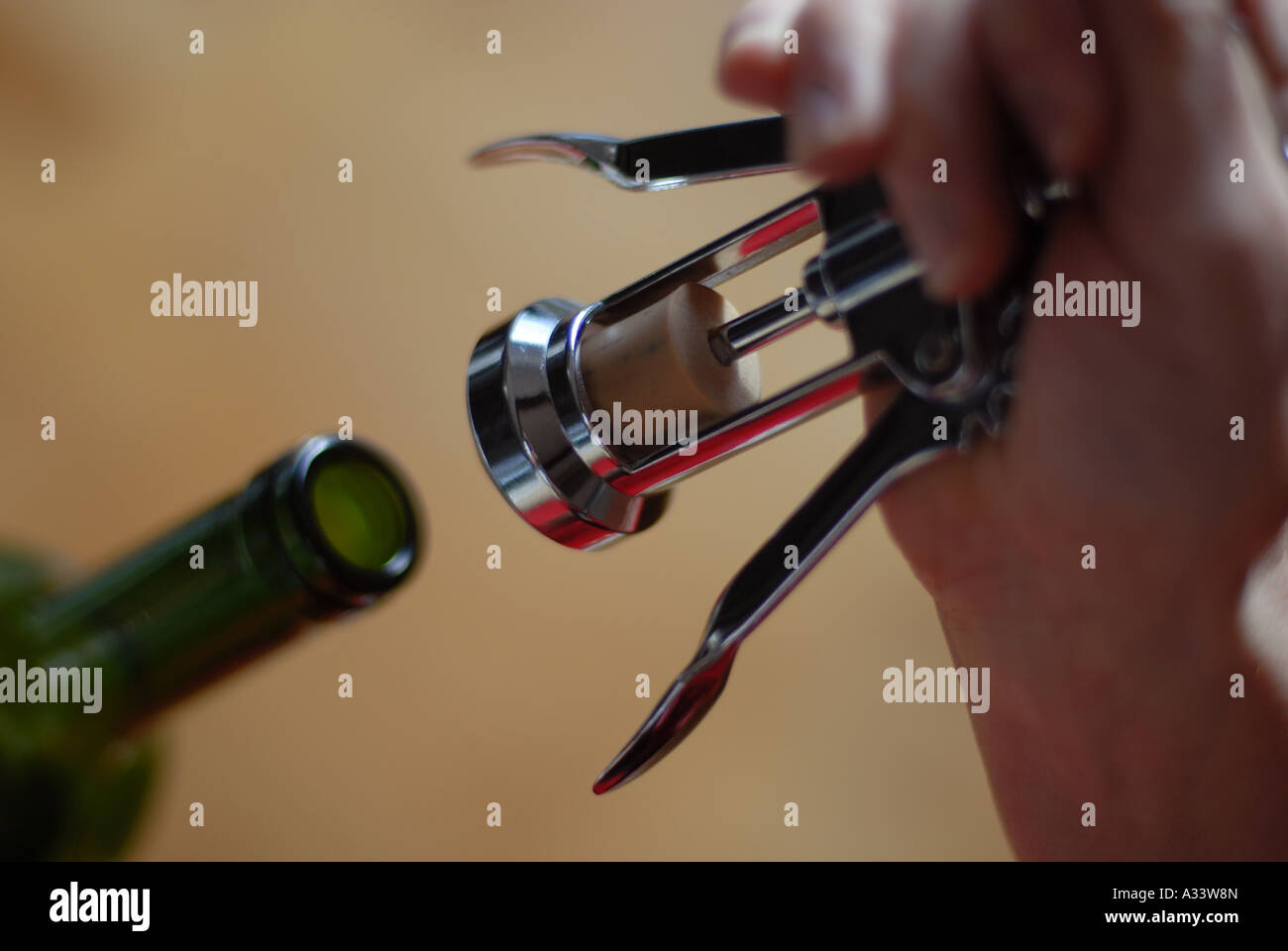 Opening a bottle of red wine with a corkscrew Stock Photo - Alamy