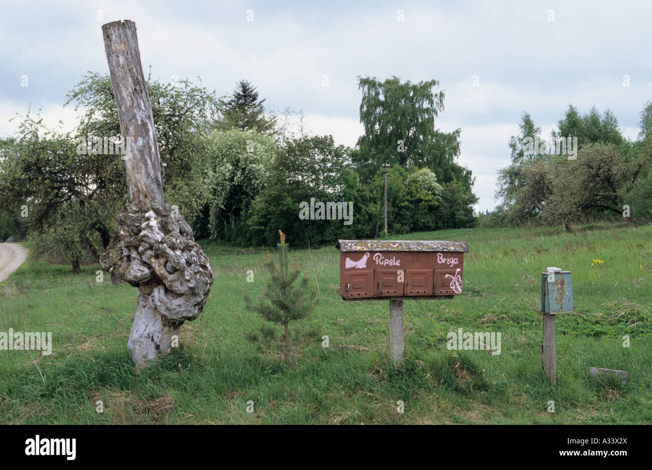 Roadside post box hi-res stock photography and images - Alamy