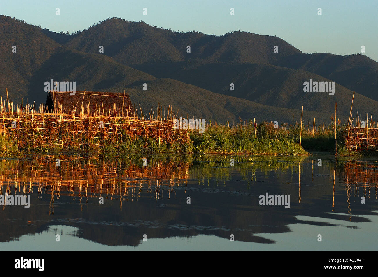floating garden Inle Lake Burma Myanmar Stock Photo - Alamy