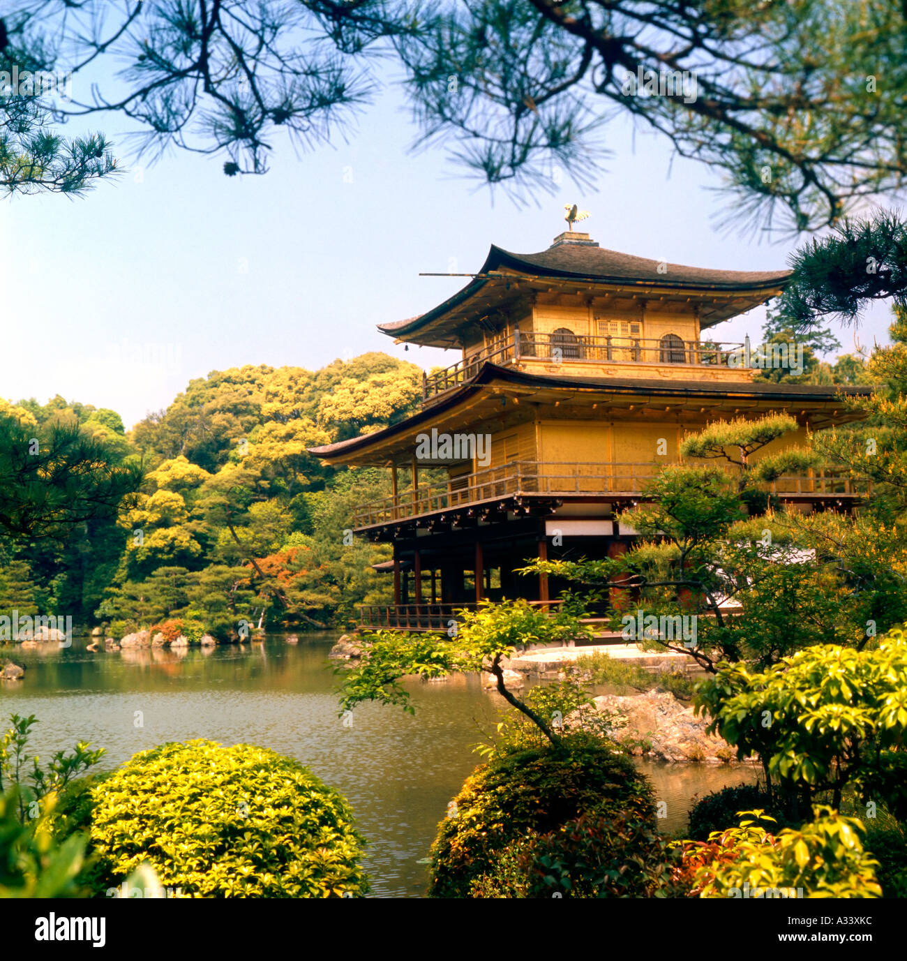 Gold Pavilion Kyoto Japan Stock Photo - Alamy