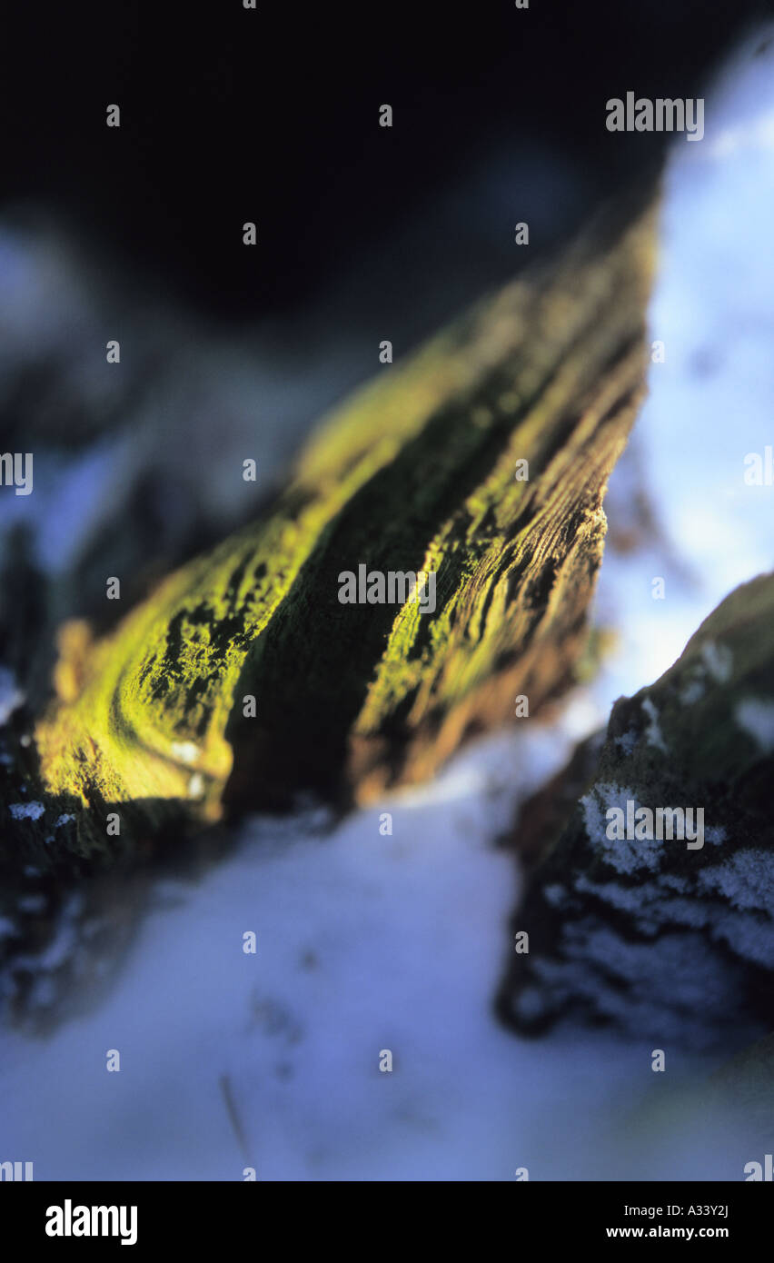 Wooden stub narrow gap Stock Photo - Alamy