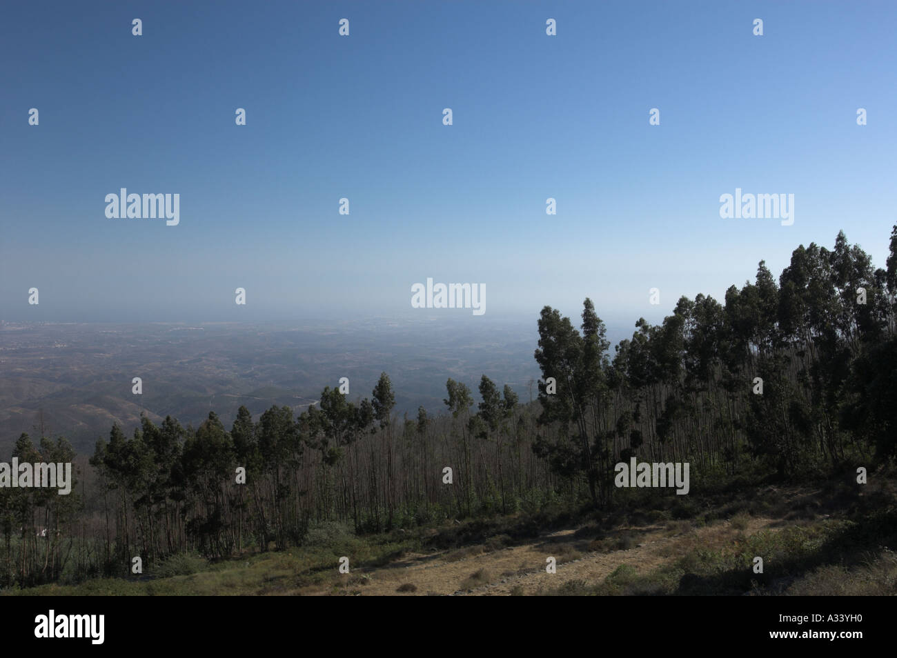 Monchique hills hi-res stock photography and images - Alamy