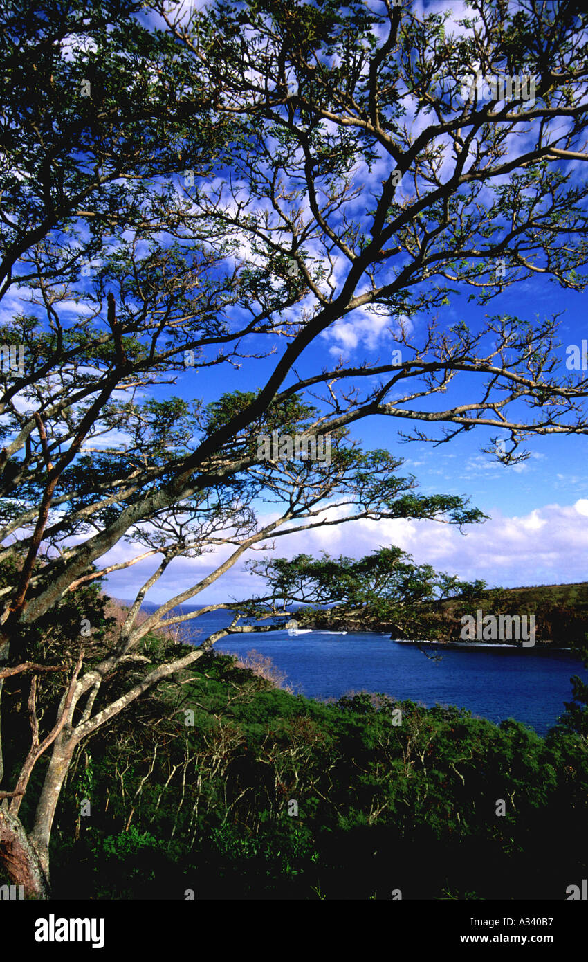Surf at honolua bay hi-res stock photography and images - Alamy