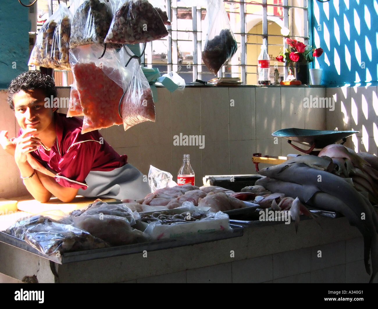 young man on fish stall, Merida, Yucatan, Mexico Stock Photo - Alamy