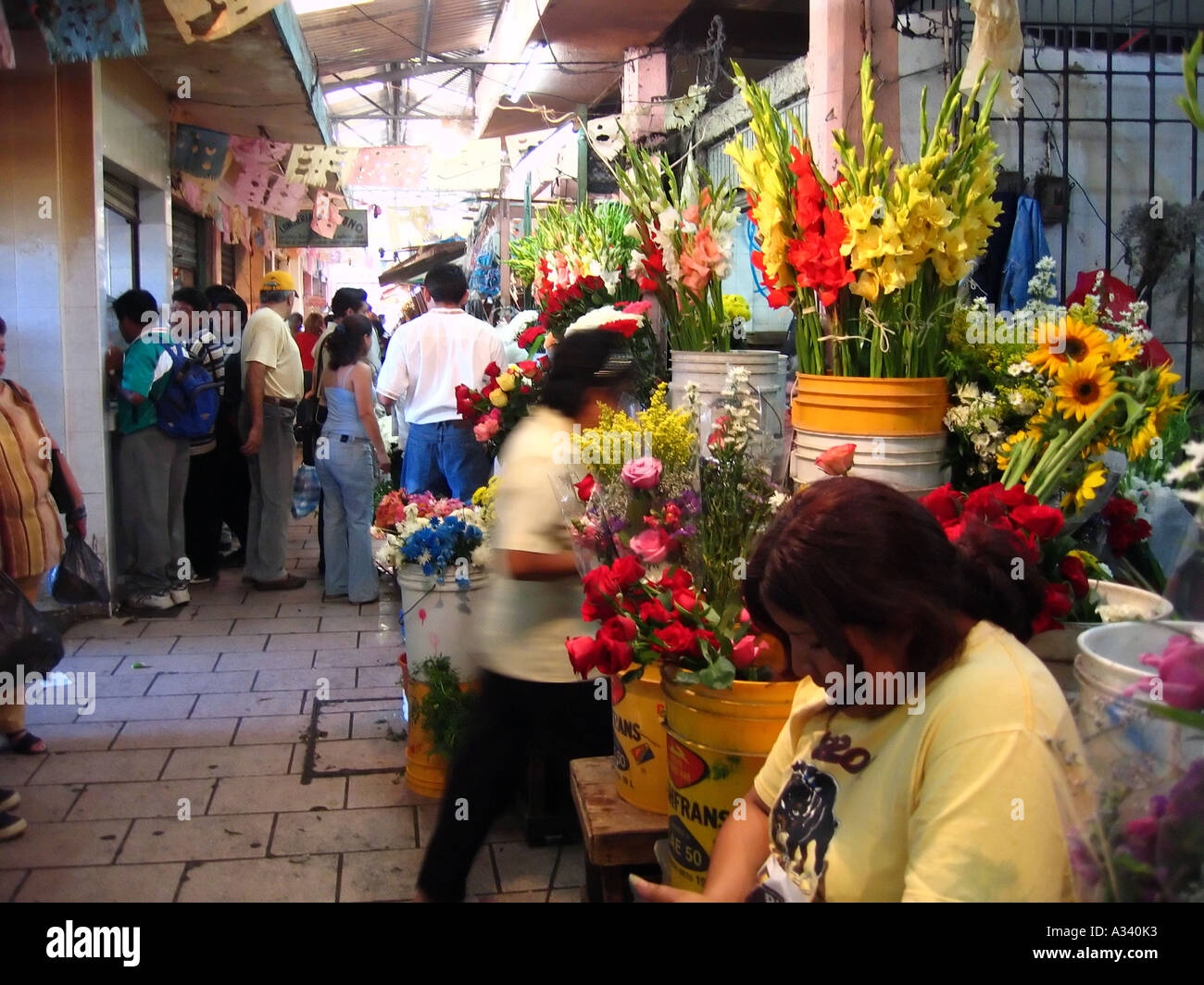 flower stall in the covered market, Merida, Yucatan, Mexico Stock Photo ...