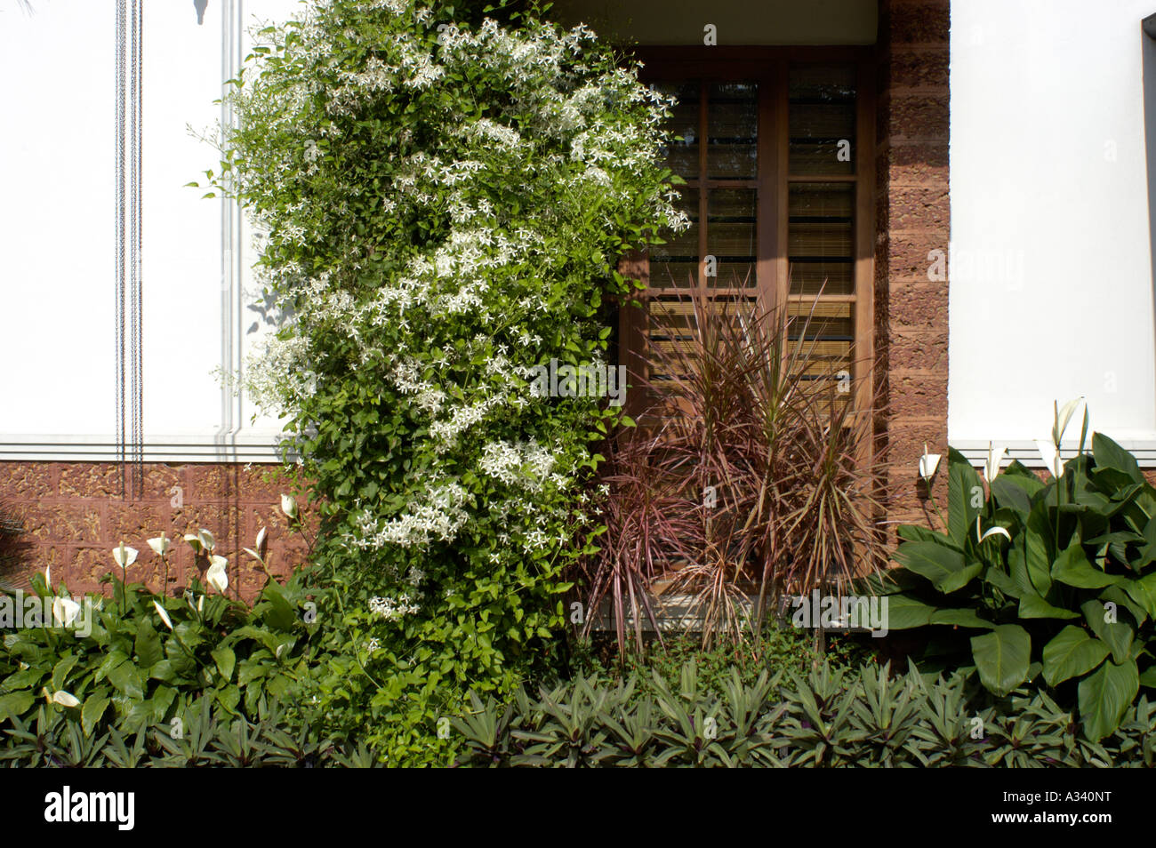 ARCHITECT DESIGNED HOUSE IN TRADITIONAL STYLE KOCHI Stock Photo - Alamy