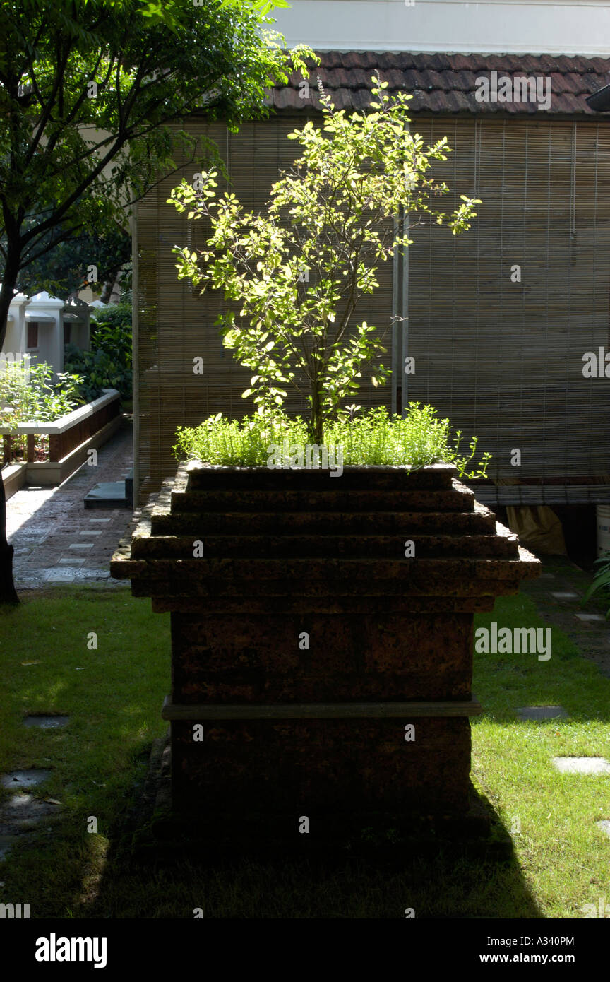 THULASI THARA THE HOLY PLACE IN A HOUSE WHERE THULASI PLANT IS GROWN ...