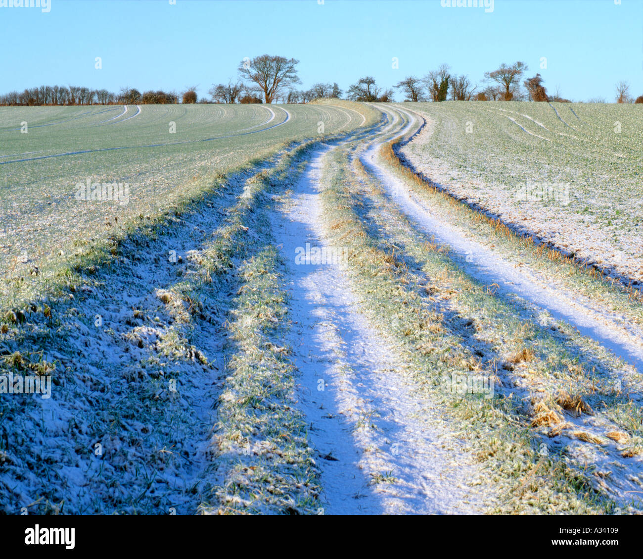 Frozen Field in Essex England Stock Photo - Alamy
