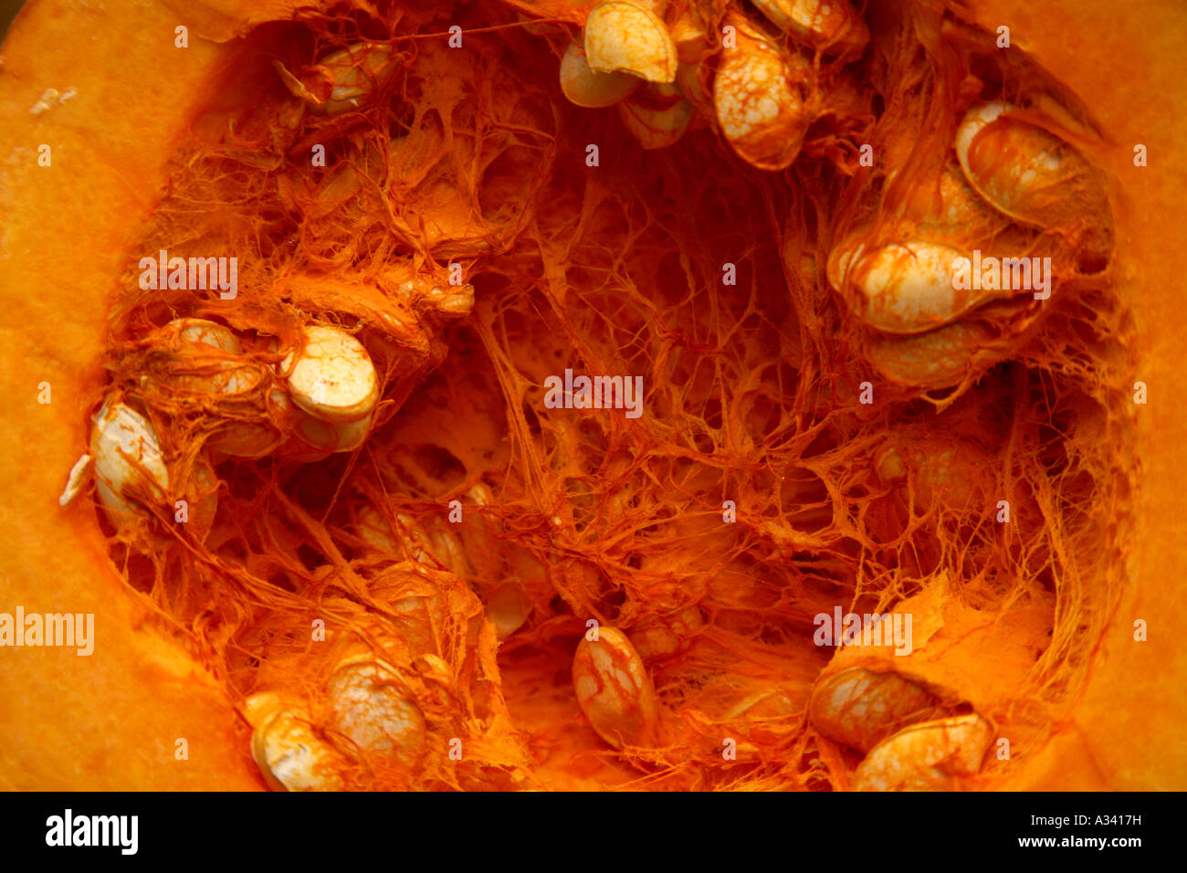 Stringy butternut squash hi-res stock photography and images - Alamy