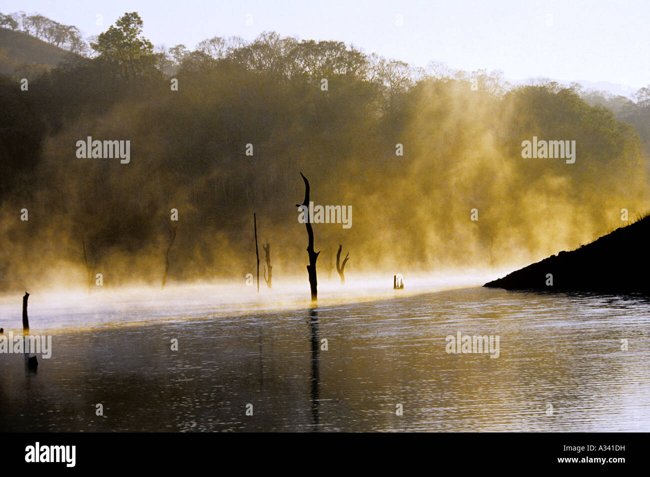 PERIYAR TIGER RESERVE THEKKADY KERALA Stock Photo - Alamy