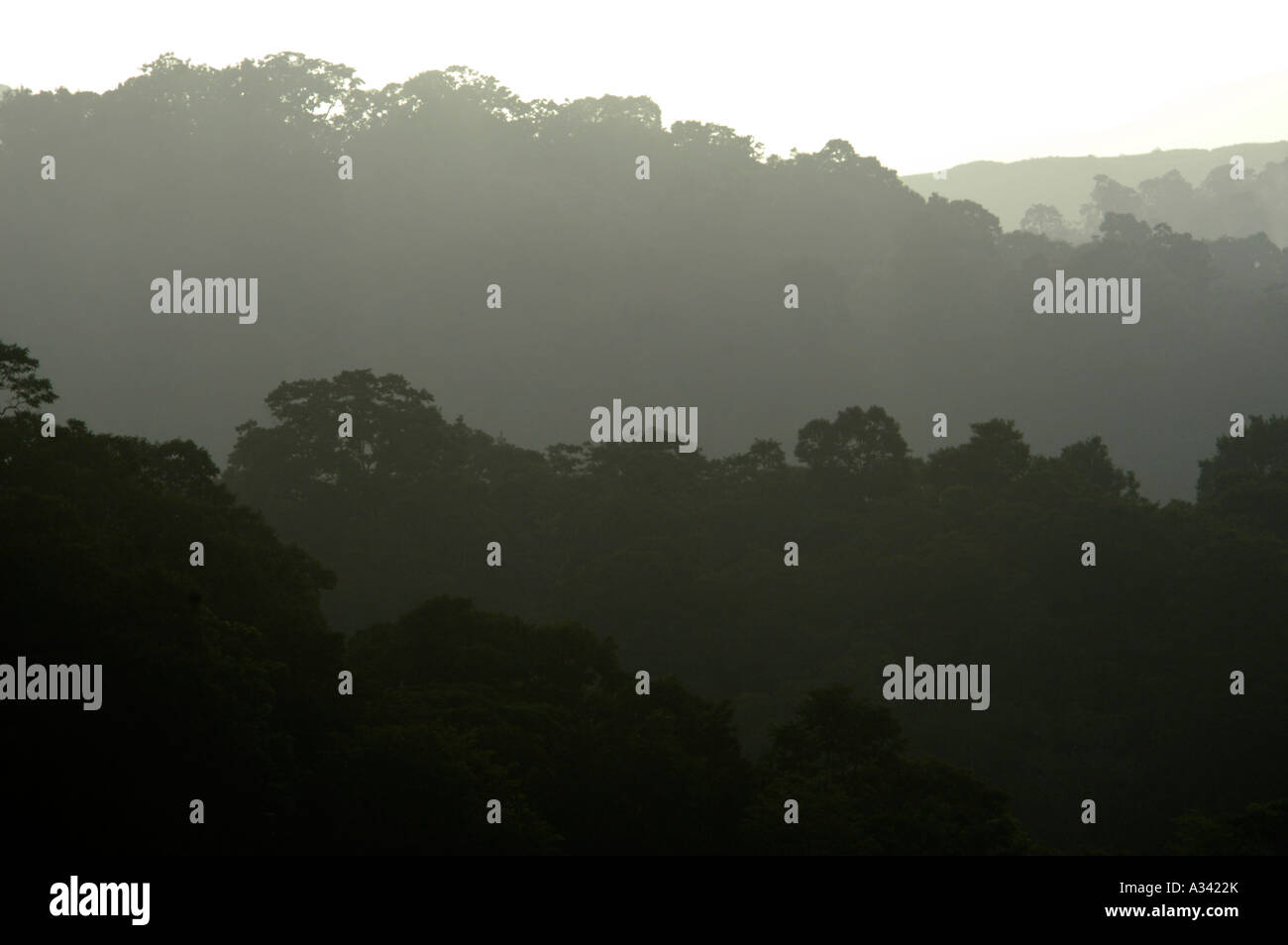 LANDSCAPE OF PERIYAR TIGER RESERVE THEKKADY Stock Photo - Alamy