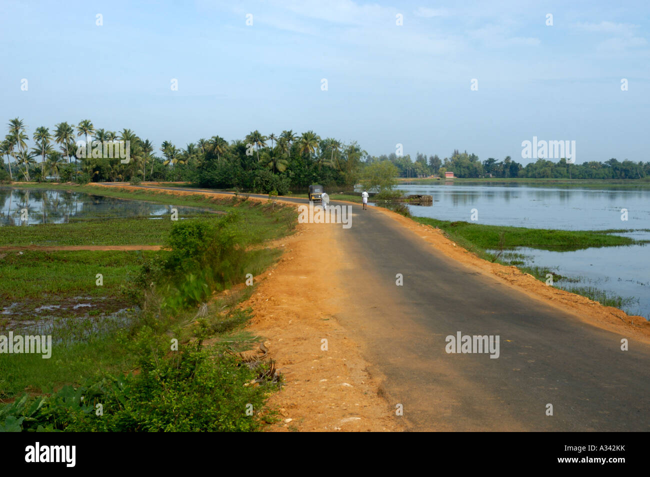 ROAD IN KUTTANAD ALAPPUZHA Stock Photo - Alamy