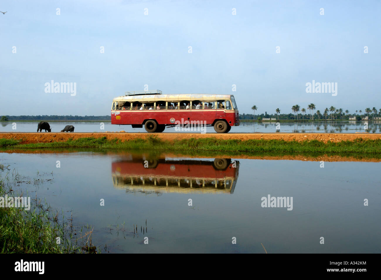 ROAD IN KUTTANAD ALAPPUZHA Stock Photo - Alamy