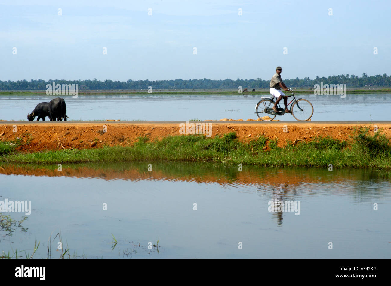 ROAD IN KUTTANAD ALAPPUZHA Stock Photo - Alamy