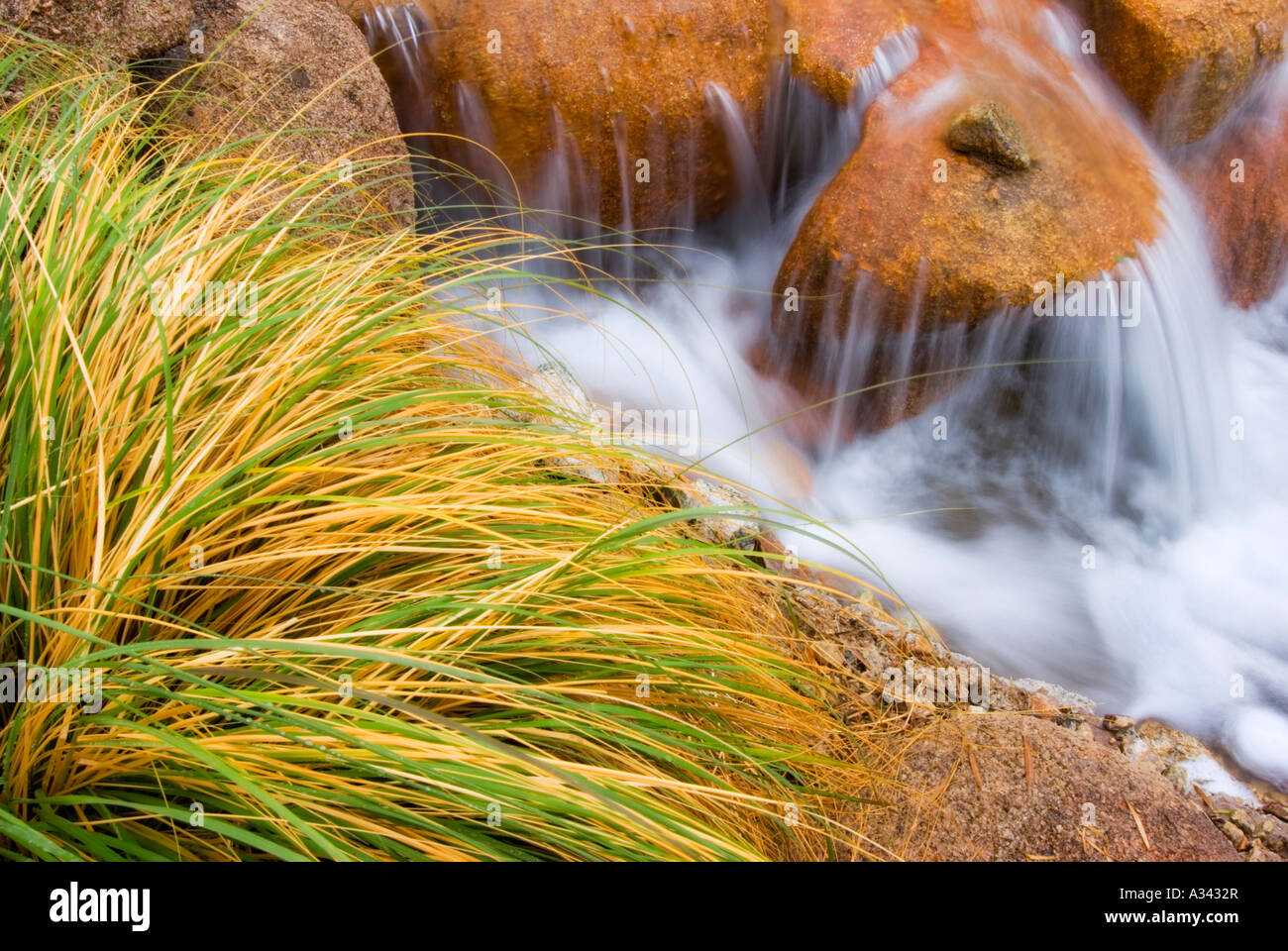Wild horse pass resort hi-res stock photography and images - Alamy