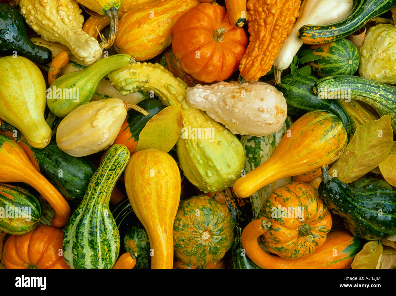 Kentucky crops hi-res stock photography and images - Alamy