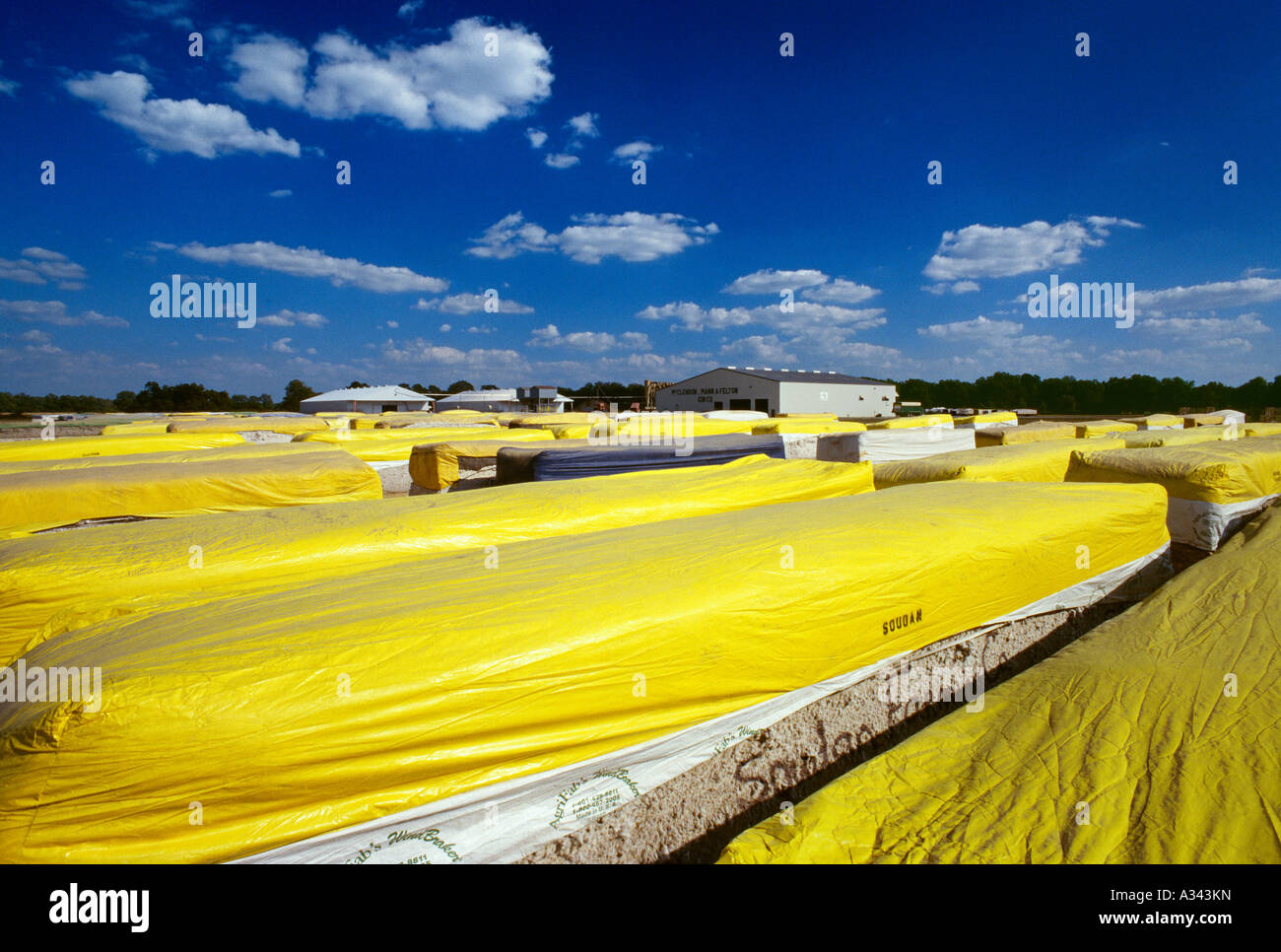 Agriculture - Cotton modules with yellow tarps await processing at a ...