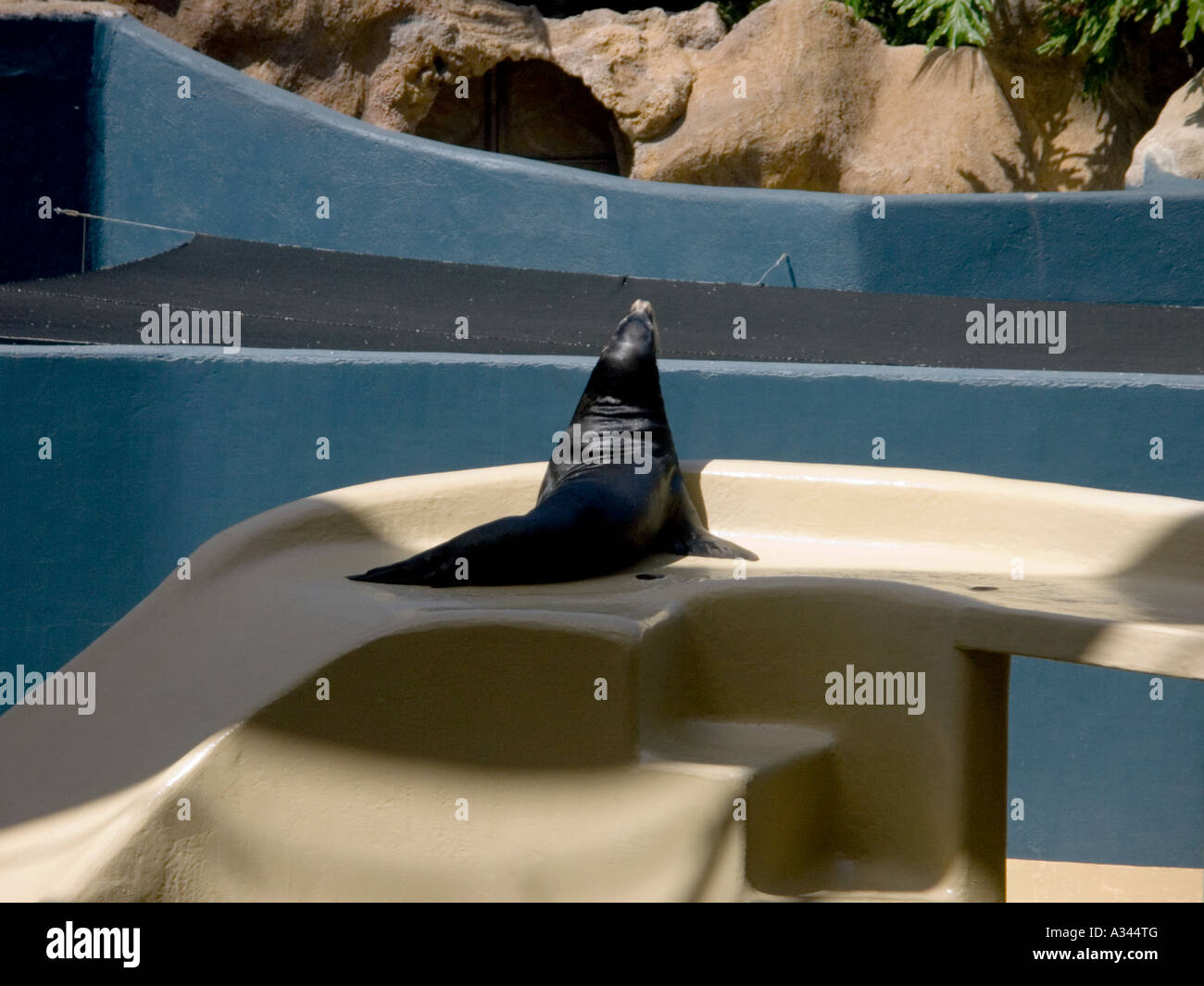 Wistful animal hi-res stock photography and images - Alamy