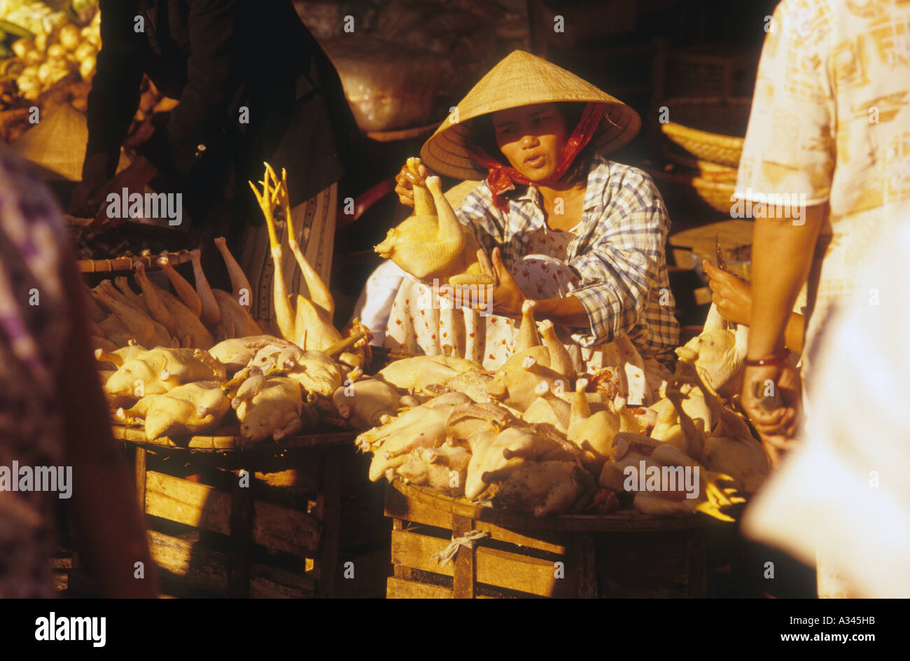 A vietnamese fresh chicken vendor shows her produce to people in a ...