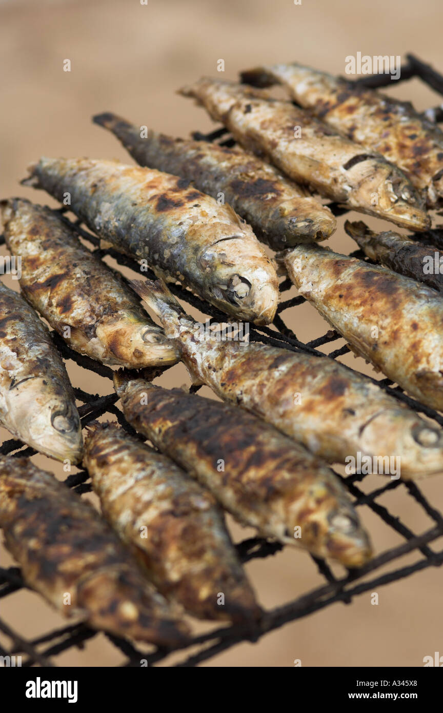 Oily Fish Bbq Sardines High Resolution Stock Photography and Images - Alamy