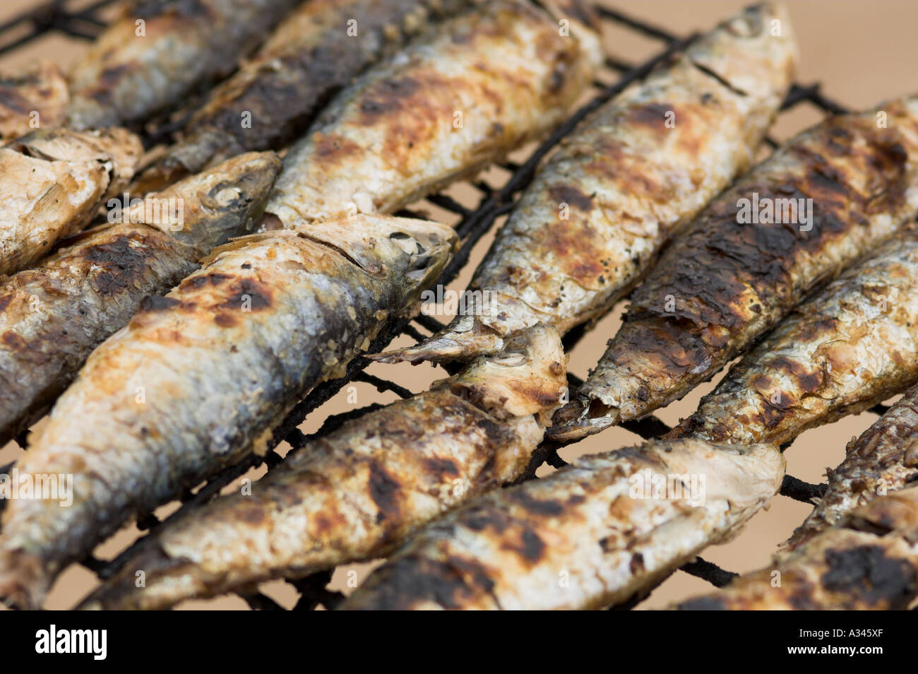 Oily Fish Bbq Sardines High Resolution Stock Photography and Images - Alamy