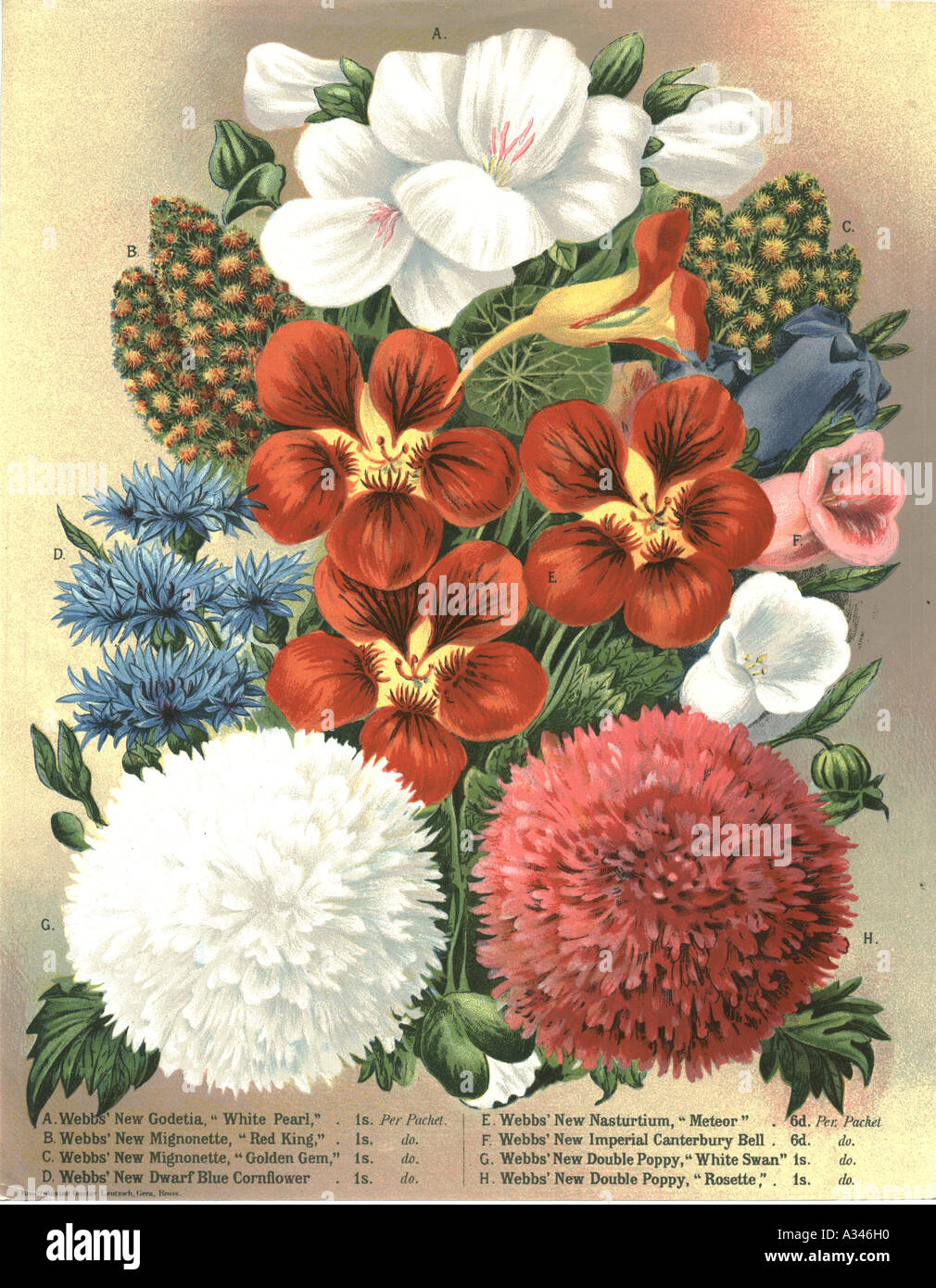 Victorian garden flowers hi-res stock photography and images - Alamy