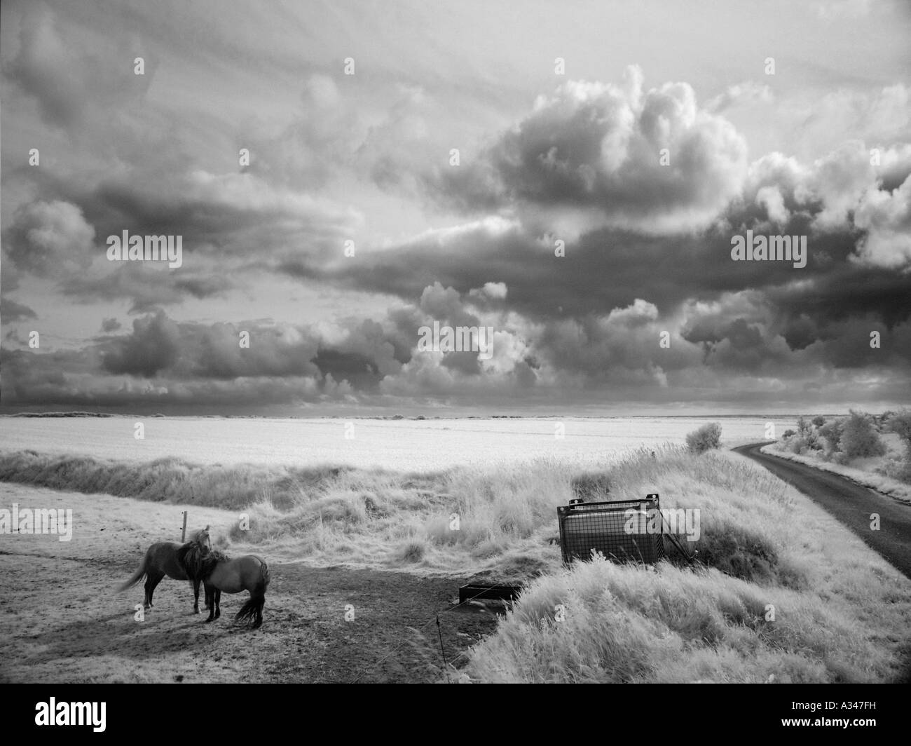 Geraman hi-res stock photography and images - Alamy