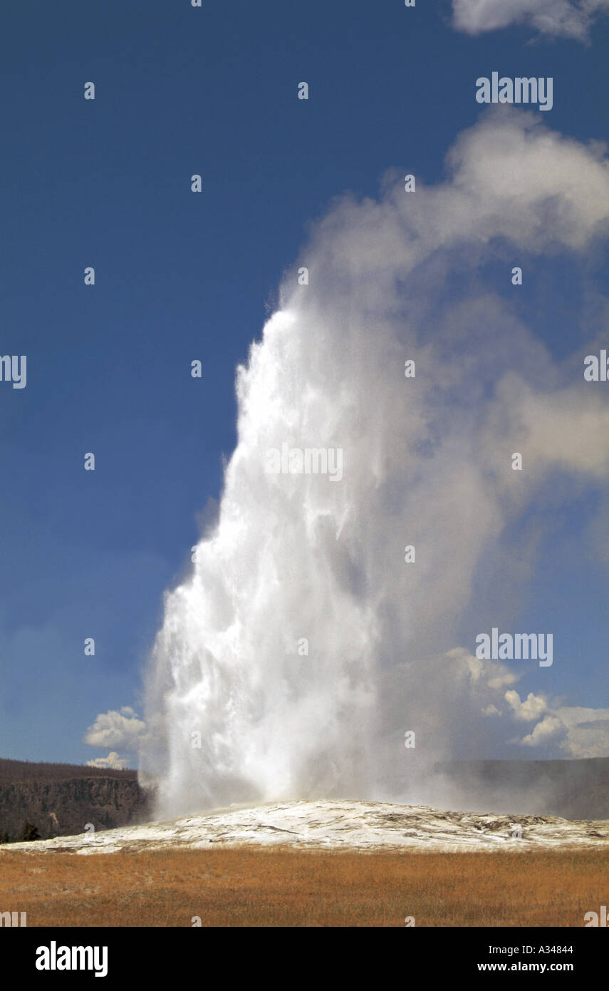 Old faithfull geyser hi-res stock photography and images - Alamy