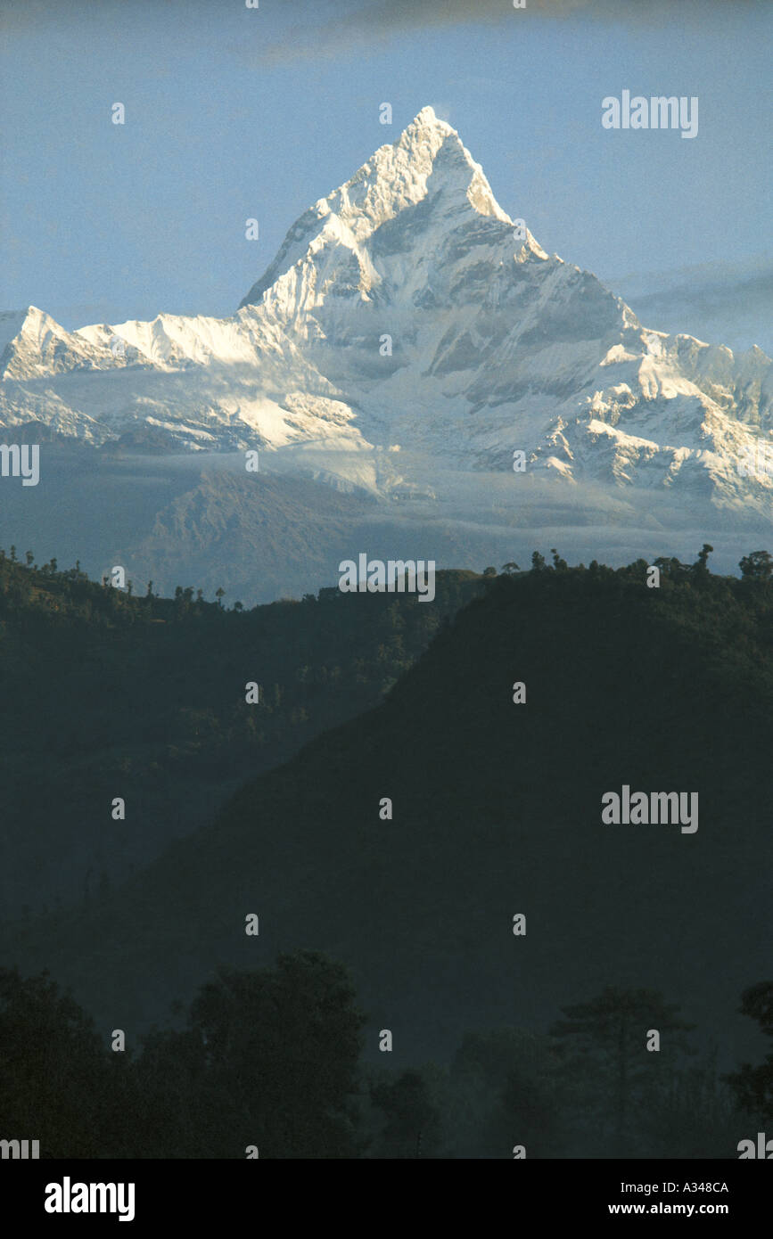 Machhapuchhare dawn himalayas hi-res stock photography and images - Alamy