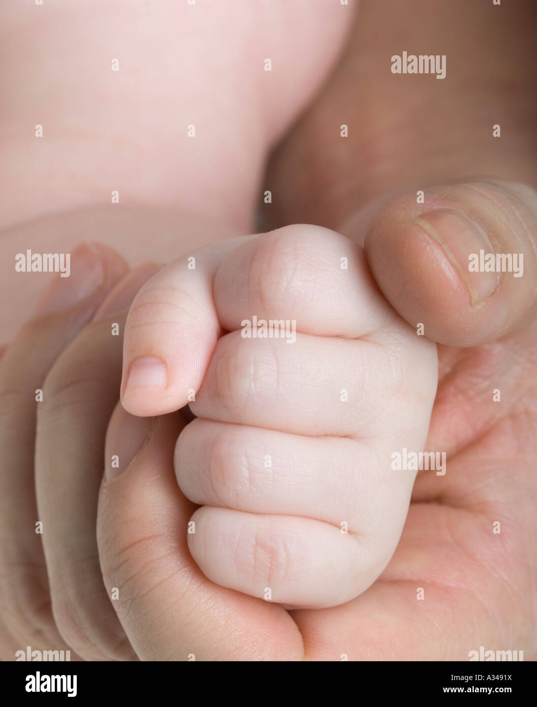 baby hand held by mother hand Stock Photo - Alamy