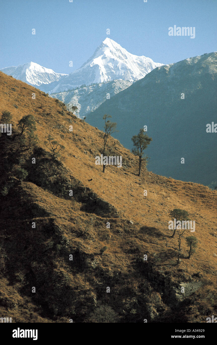 Numbur hi-res stock photography and images - Alamy