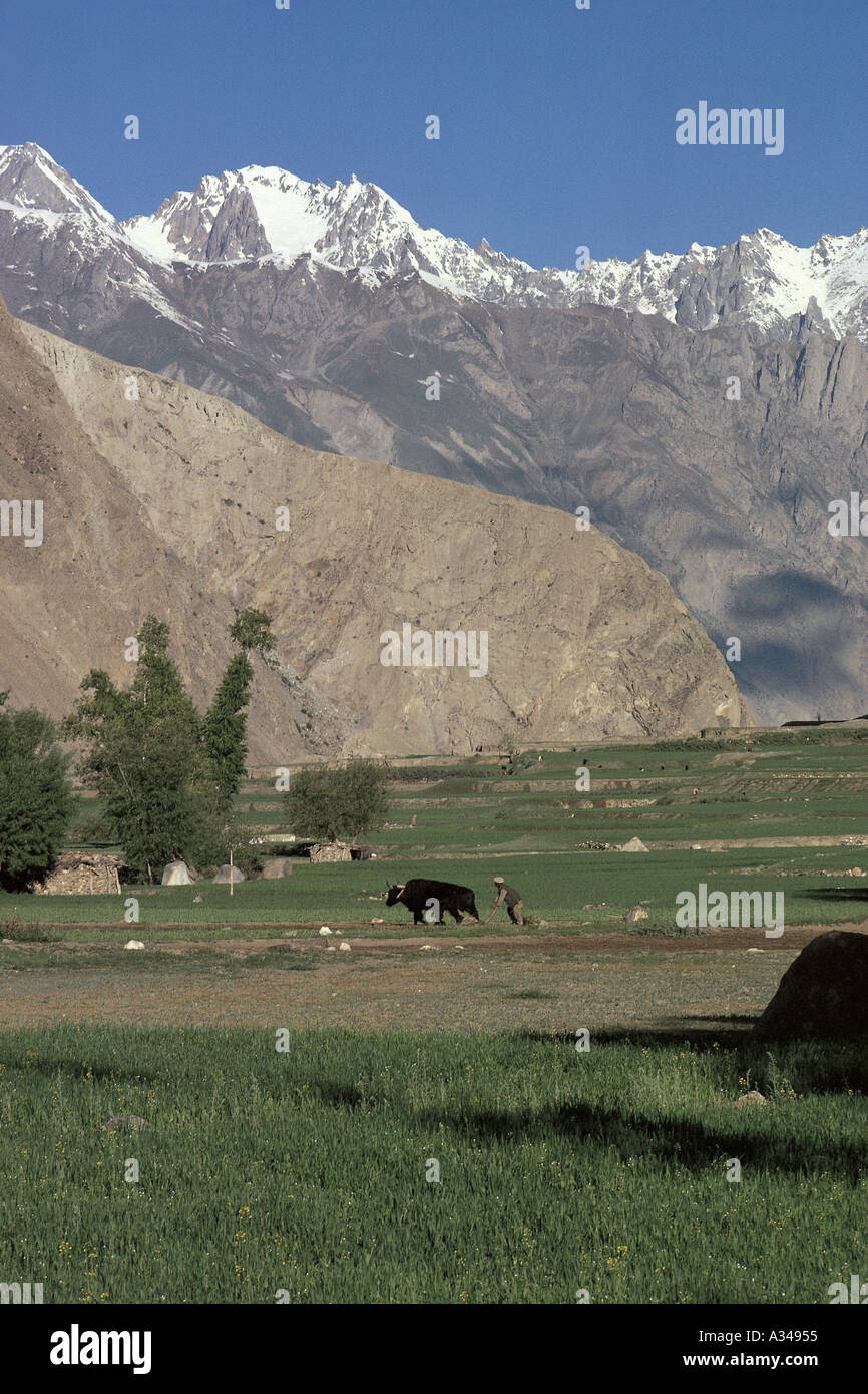 Askole hi-res stock photography and images - Alamy