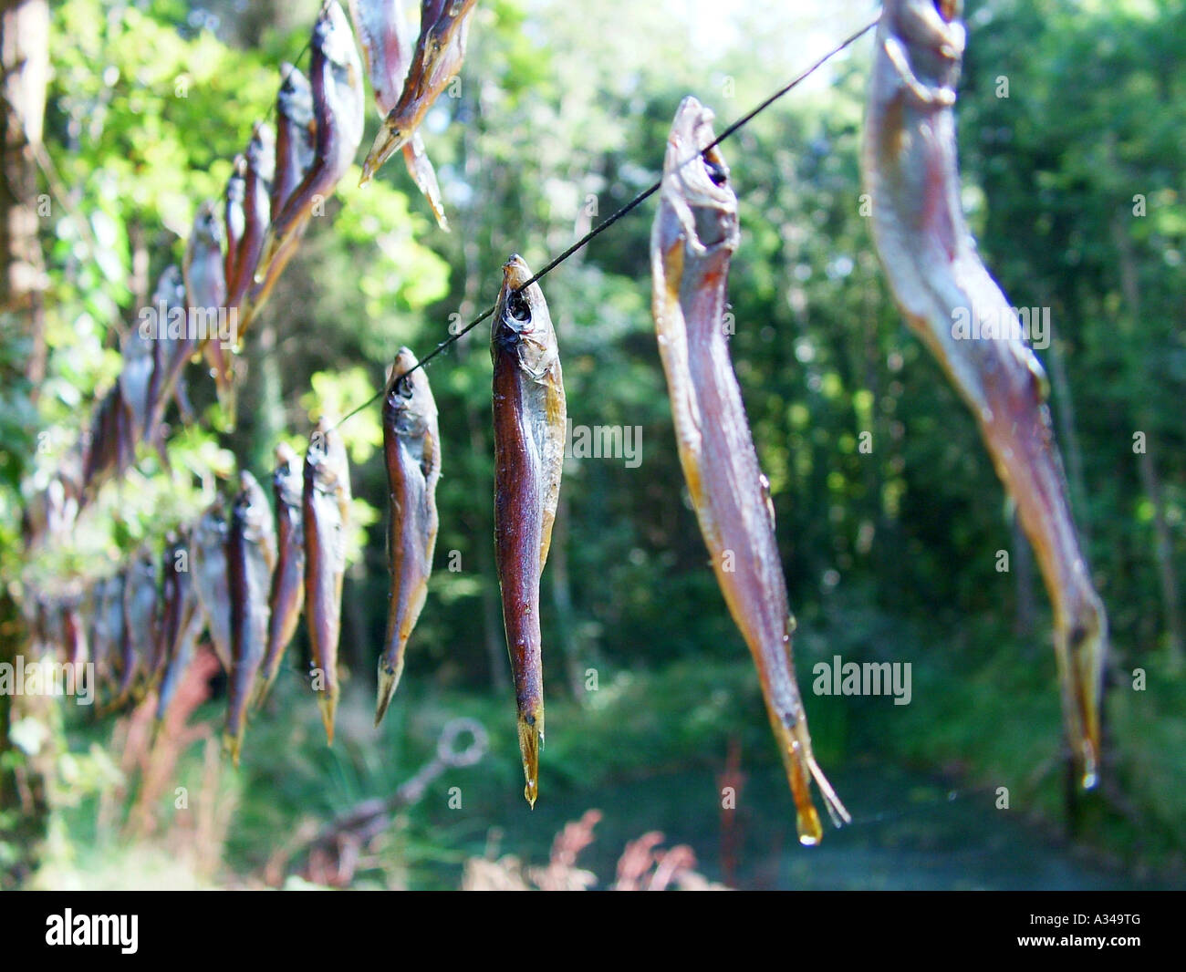 St hilary glamorgan uk hi-res stock photography and images - Alamy