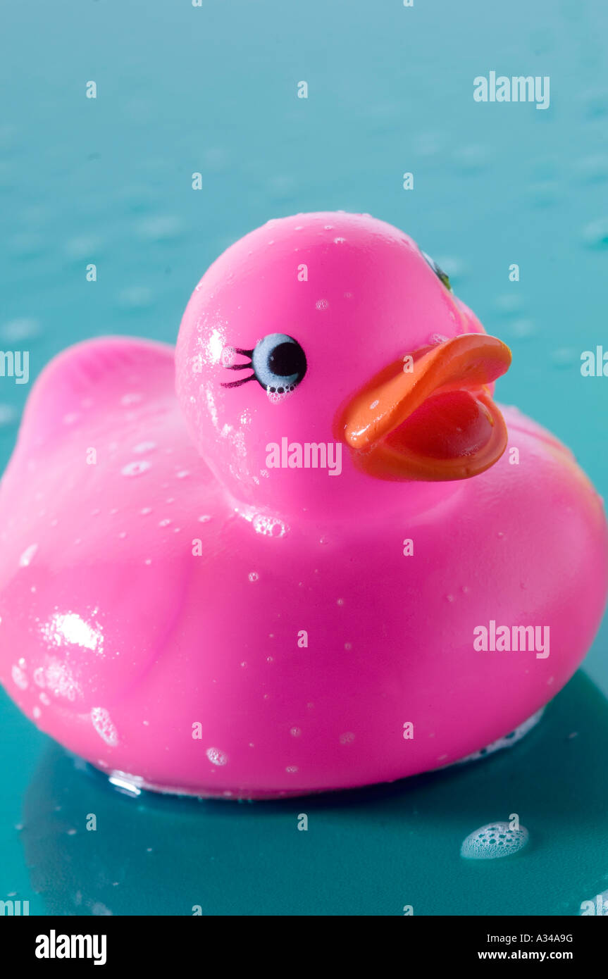 Pink rubber duck close up Stock Photo - Alamy