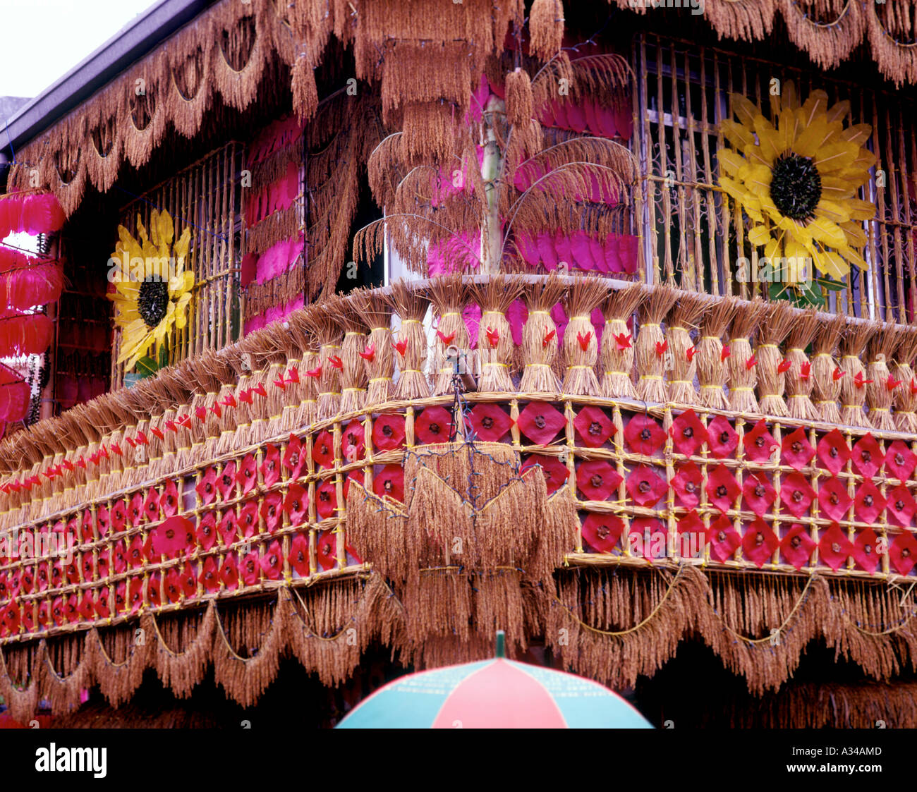 Planting rice is the livelihood of the people living in this house and ...