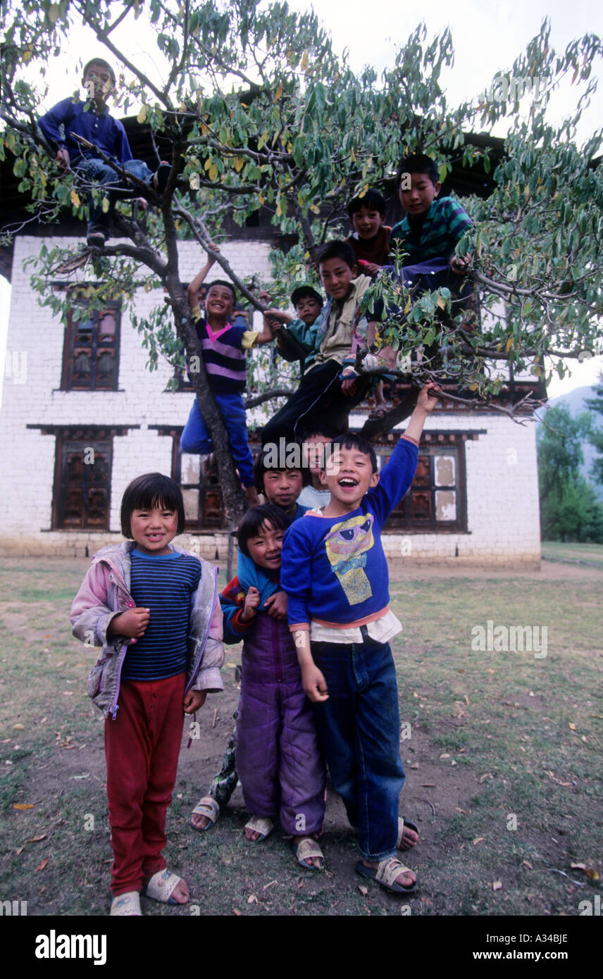 Bhutanese children are all smiles in front of a tree where some of them ...