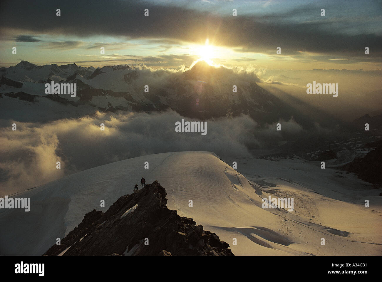 Dents blanche hi-res stock photography and images - Alamy