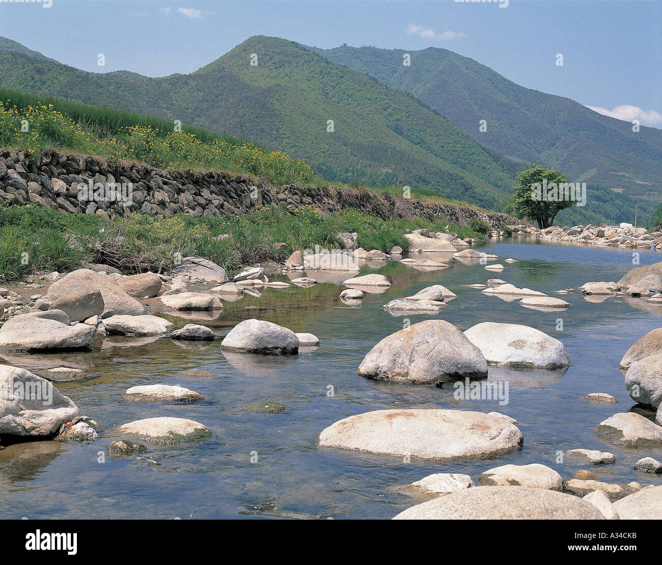 A scene of river in summer Stock Photo - Alamy