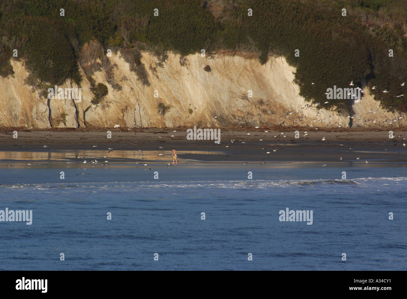 Goleta beach santa barbara california hi-res stock photography and ...