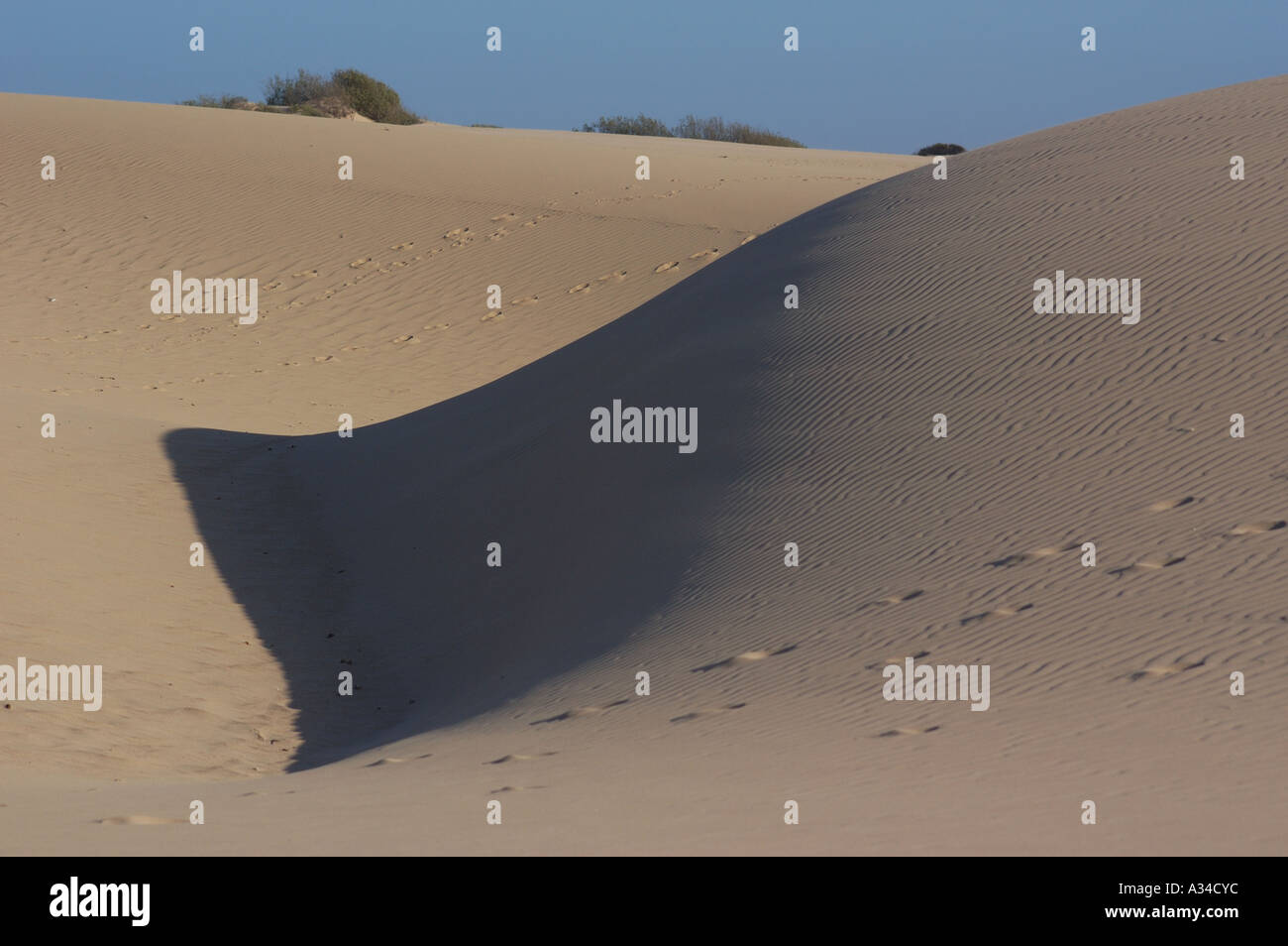 Oceano Sand Dunes Stock Photo - Alamy